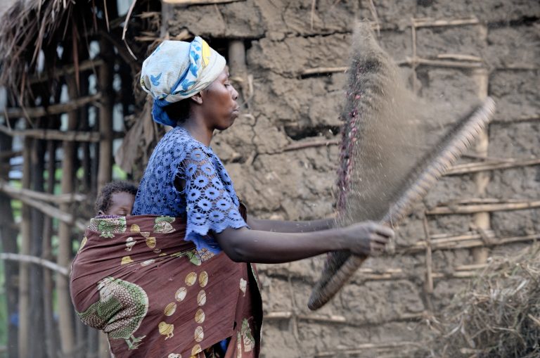 Global Lens » Archive » Winnowing