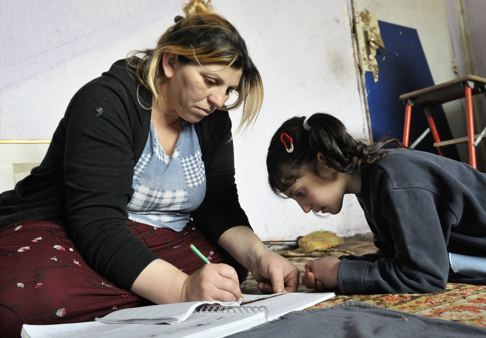 Global Lens » The Roma – an update